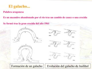 Galacho de juslibol | PPT
