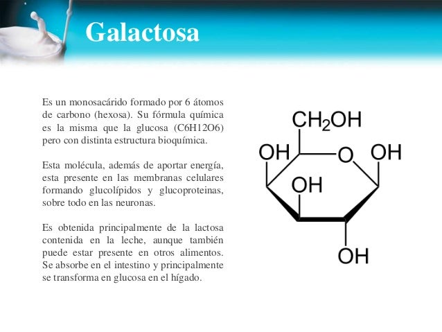 Galactosa y Galactosemia