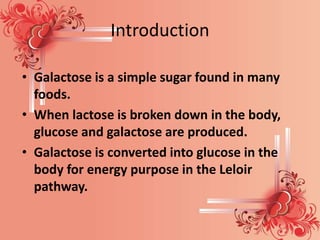 Galactose Foods