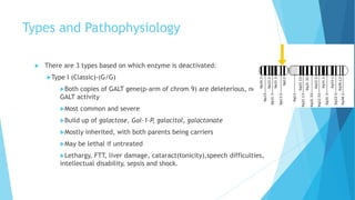 Galactosemia LB | PPTX