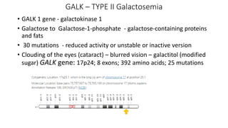 Galactosemia | PPT