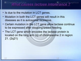 Galactosemia and lactose intelorance!!! | PPT
