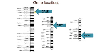Galactosemia ppt | PPTX
