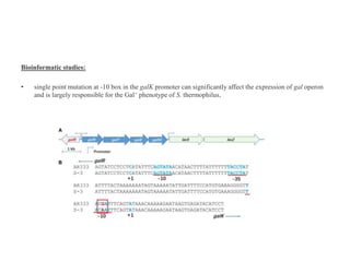 Galactose operon slide share | PPTX | Chemistry | Science