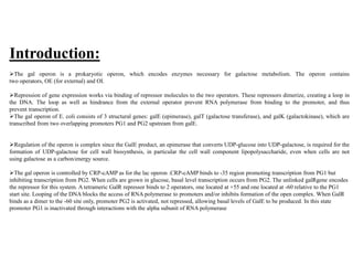 Galactose operon slide share | PPTX | Chemistry | Science
