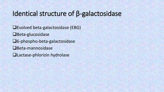 β-galactosidase enzyme | PPTX
