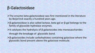 β-galactosidase enzyme | PPTX