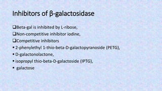β-galactosidase enzyme | PPTX