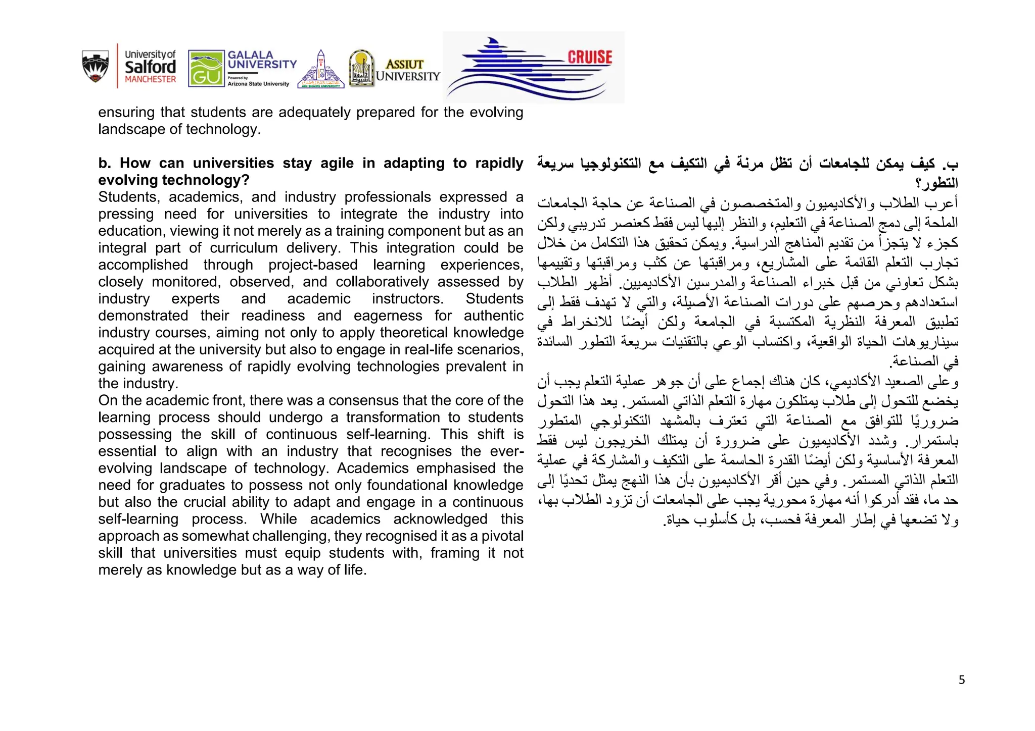 Galala University CRUISE Workshop Overview - English Arabic.pdf