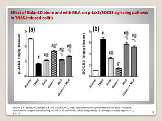 Galantamine Anti-Colitic Effect | PPTX