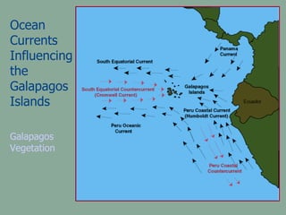 Galapagos | PPT
