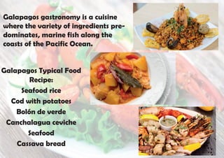 Galapagos | PDF | South America Travel | Travel Locations