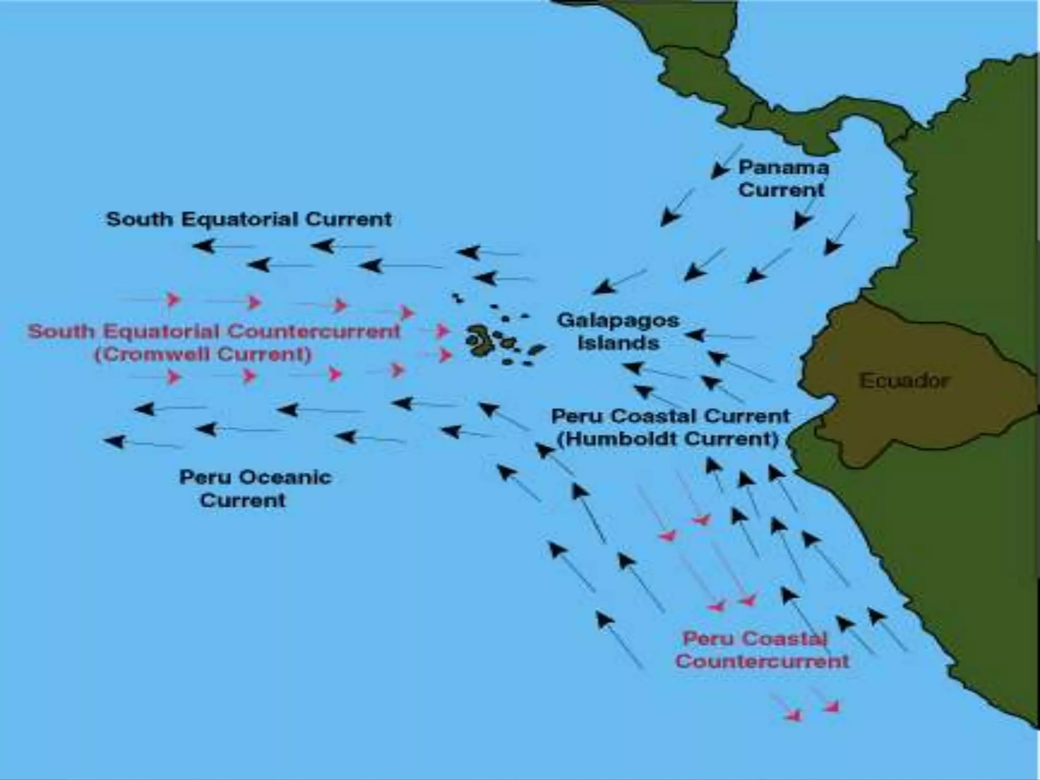Galapagos flora and fauna facts ultimate | PPT