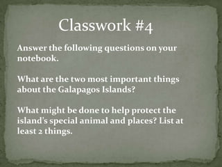 Galapagos flora and fauna facts ultimate | PPT