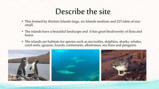 Galapagos islands | PPTX