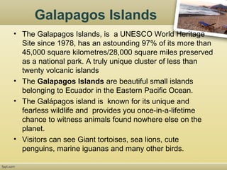 Galapagos island travel tip | PPT
