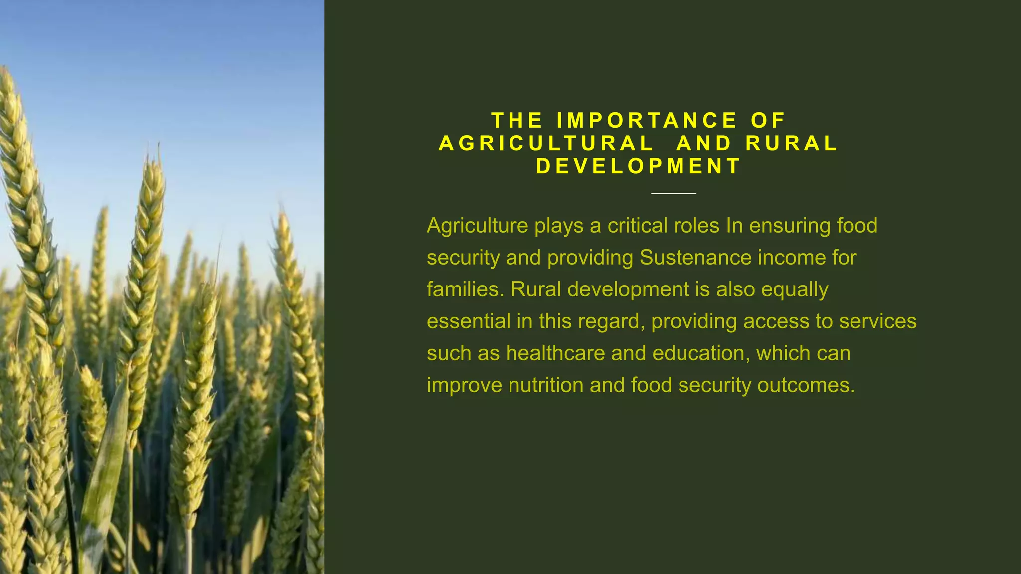 Agricultural and Rural development .pptx