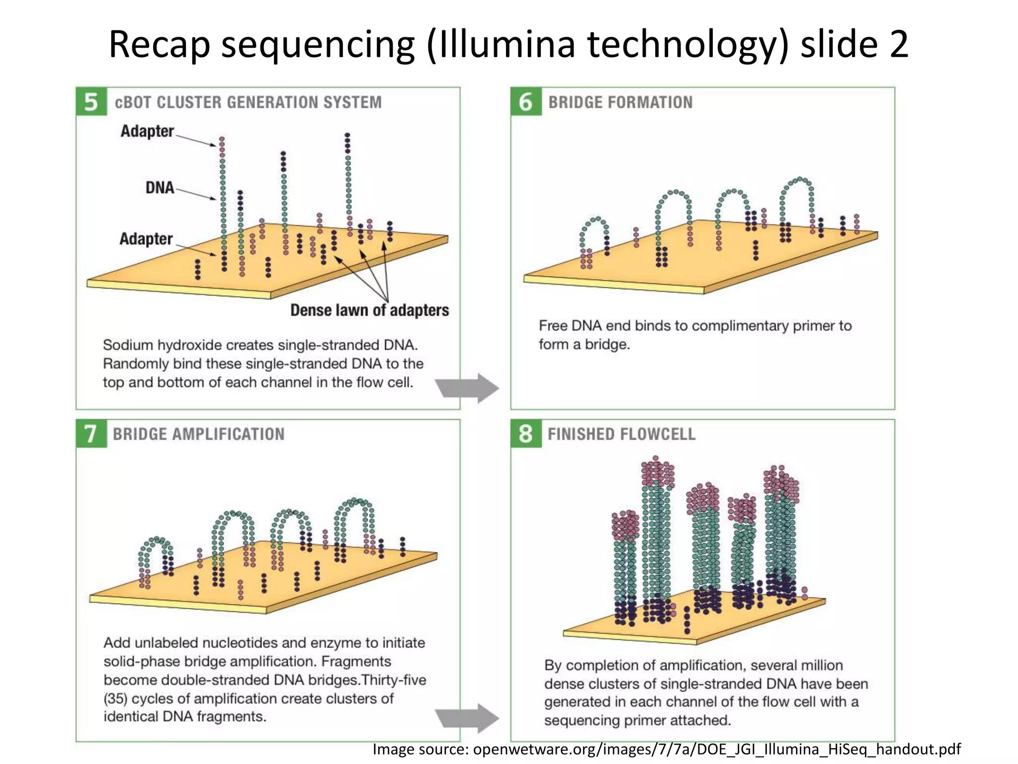 Galaxy dna-seq-variant calling-presentationandpractical_gent_april-2016 ...