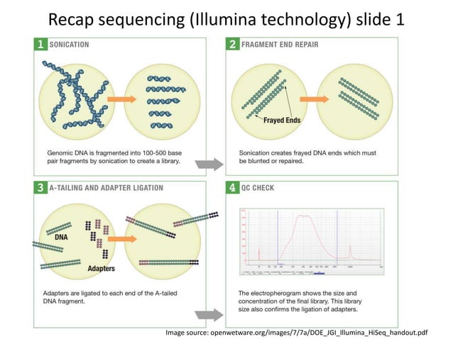 Galaxy dna-seq-variant calling-presentationandpractical_gent_april-2016 ...