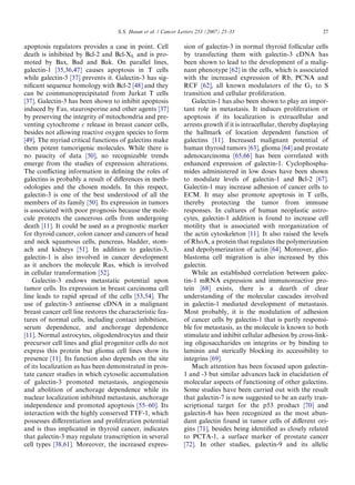 Galectins Potential Targes For Cancer Therapy | PDF