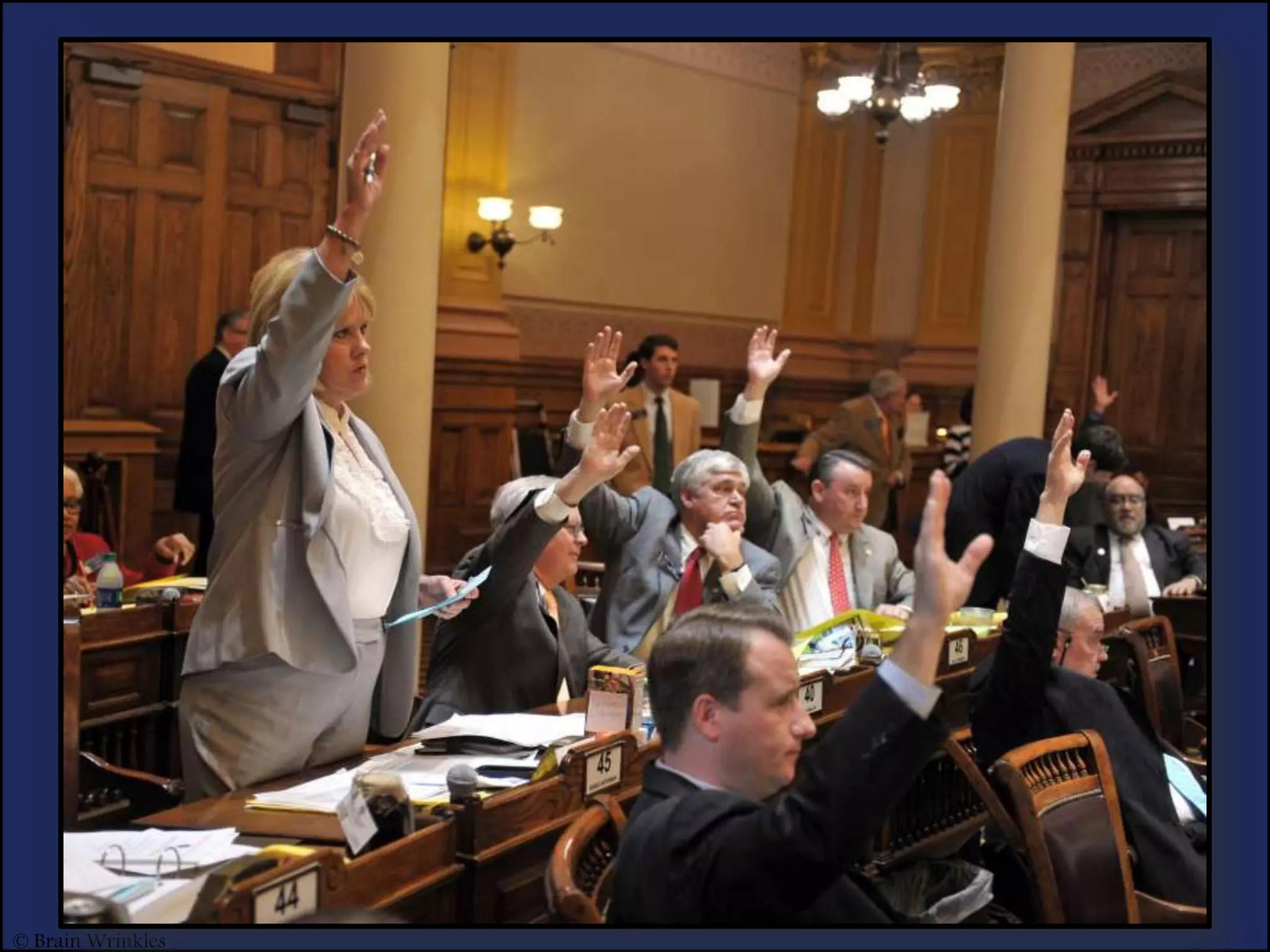 Georgia's Legislative Branch | PPT | Free Download