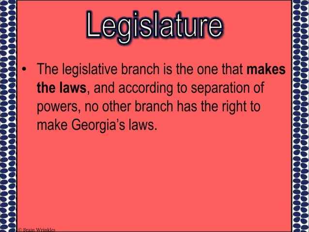 Georgia's Legislative Branch | PPTX
