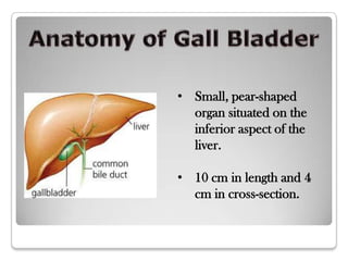 Histology of Gall bladder | PPTX