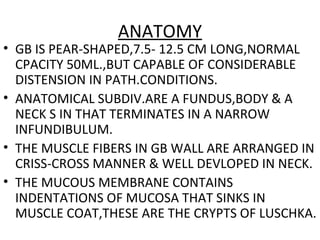 Gallbladder | PPT