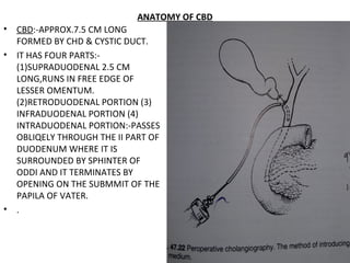 Gallbladder | PPT