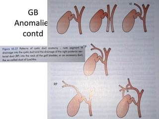 Gallbladder | PPT