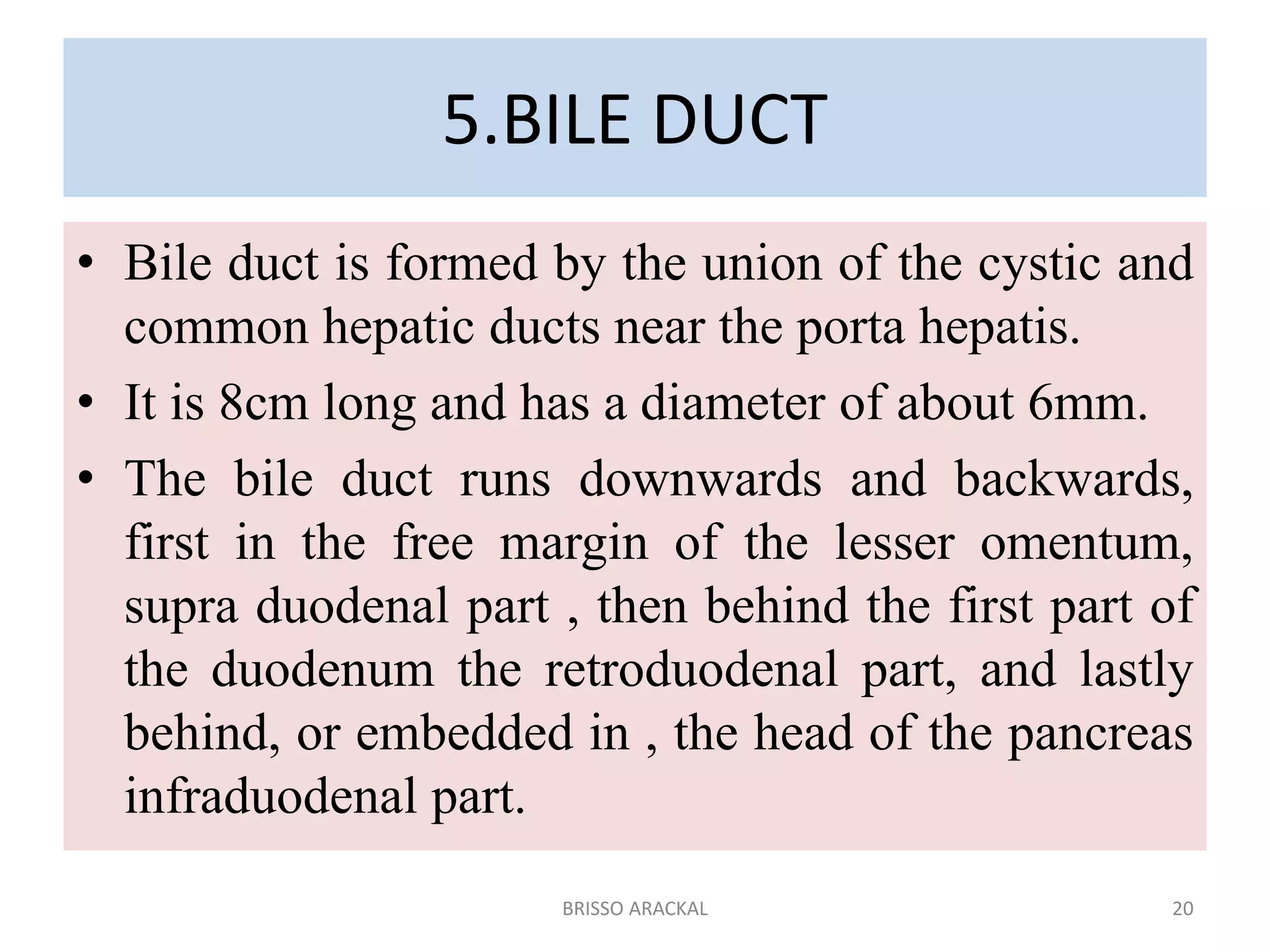 Gall bladder | PPTX