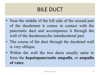 Gall bladder | PPTX