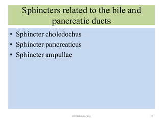 Gall bladder | PPTX