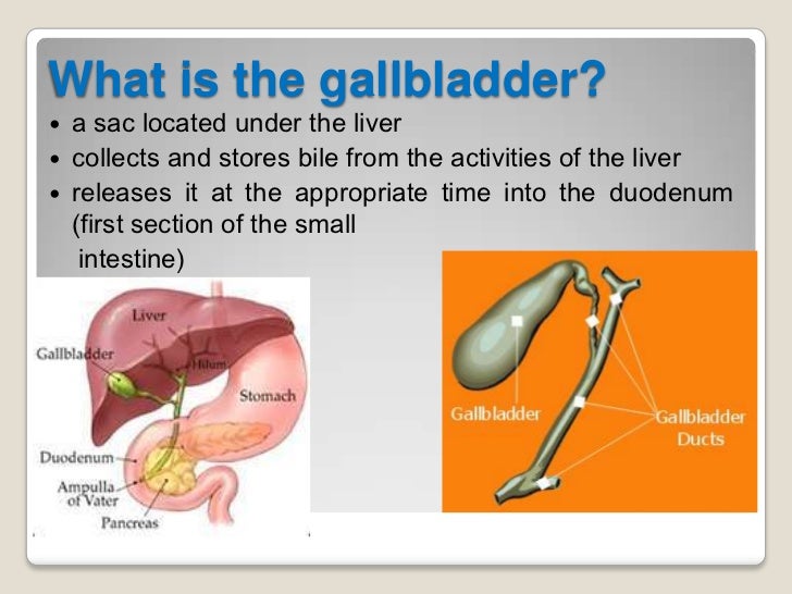 Gallbladder 11182011