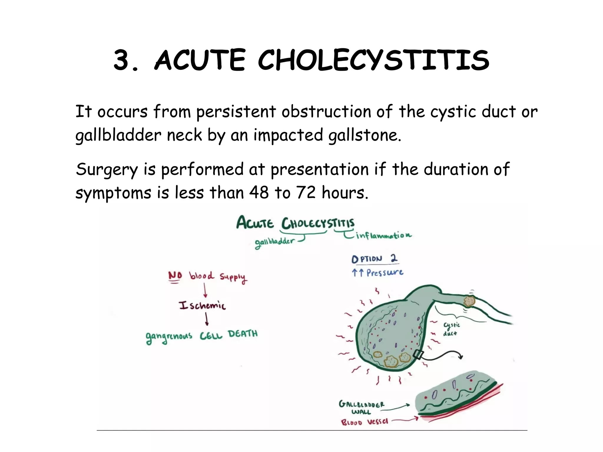 Gall bladder Ultrasound | PPT
