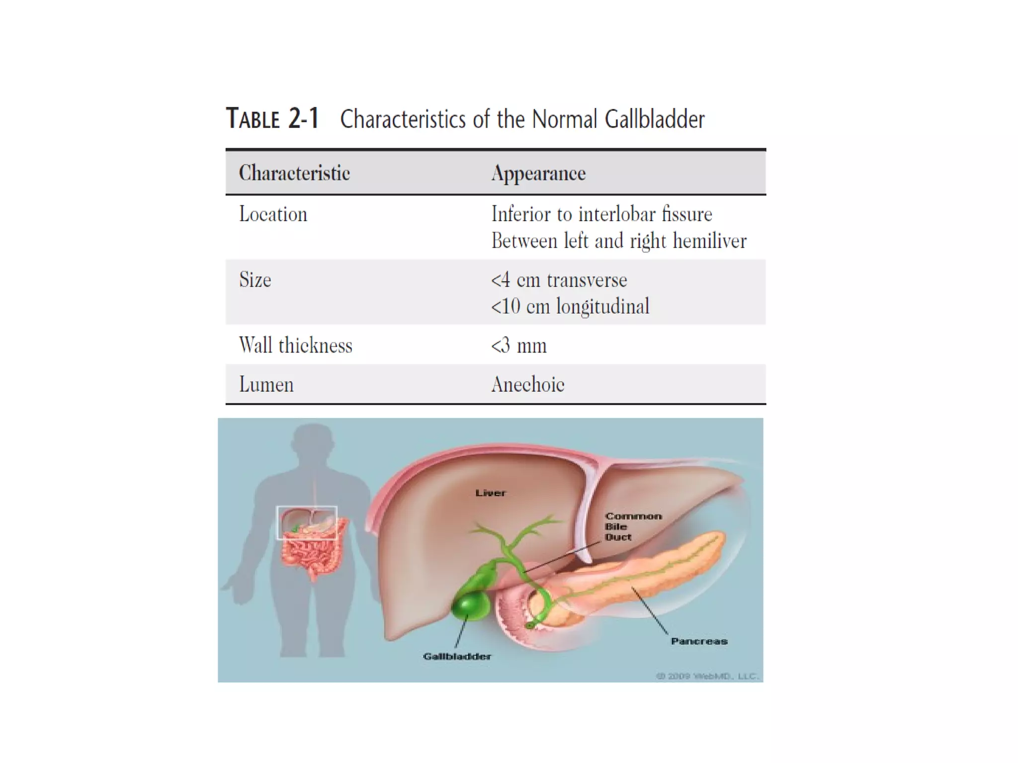Gall bladder Ultrasound | PPT