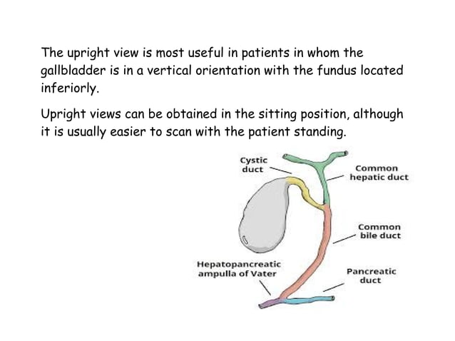 Gall bladder Ultrasound | PPT | Pregnancy | Reproductive Health
