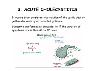 Gall bladder Ultrasound | PPT