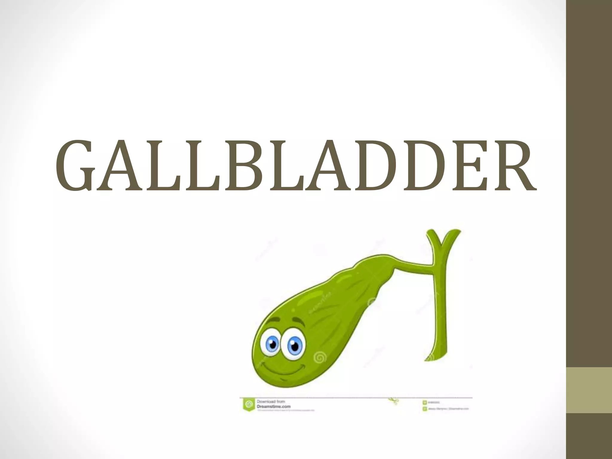 Anatomy and Sonography of Gallbladder | PPTX