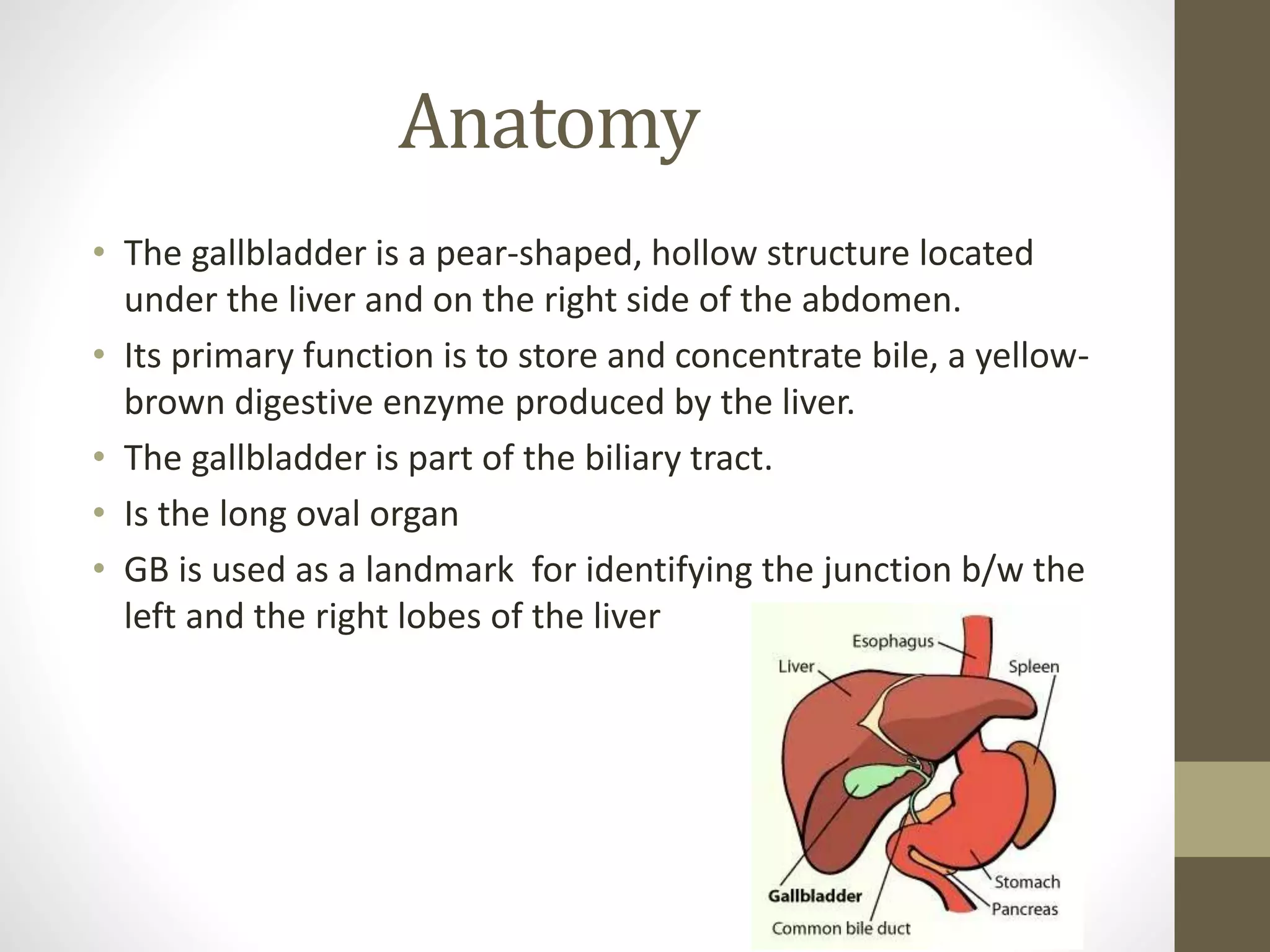 Anatomy and Sonography of Gallbladder | PPTX