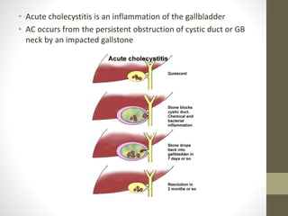 Anatomy and Sonography of Gallbladder | PPTX