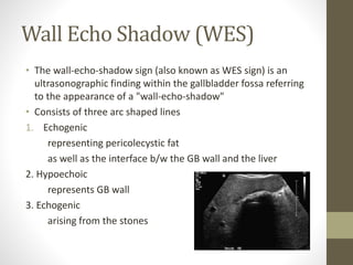 Anatomy and Sonography of Gallbladder | PPT