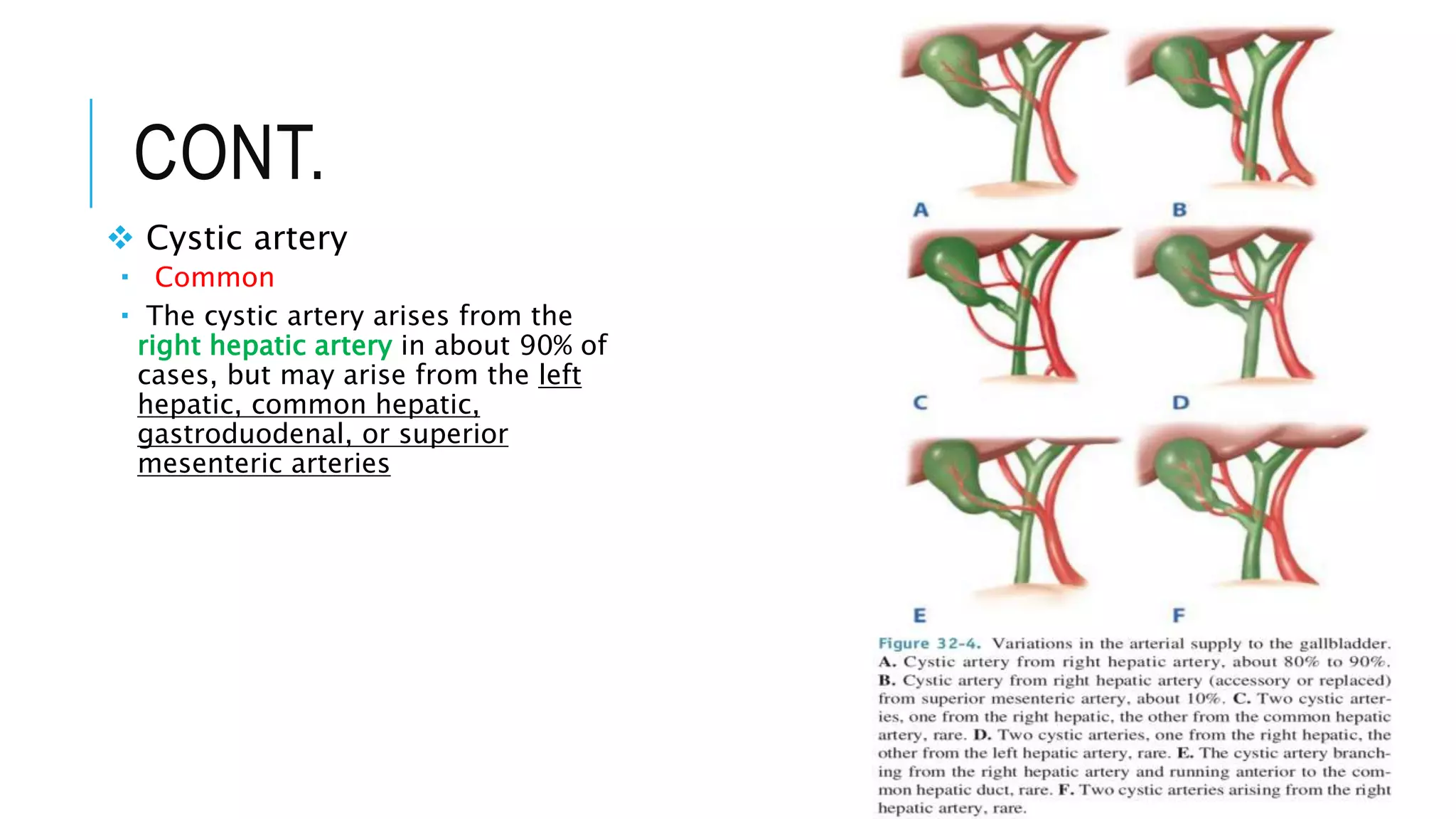 Gall bladder anatomy | PPTX