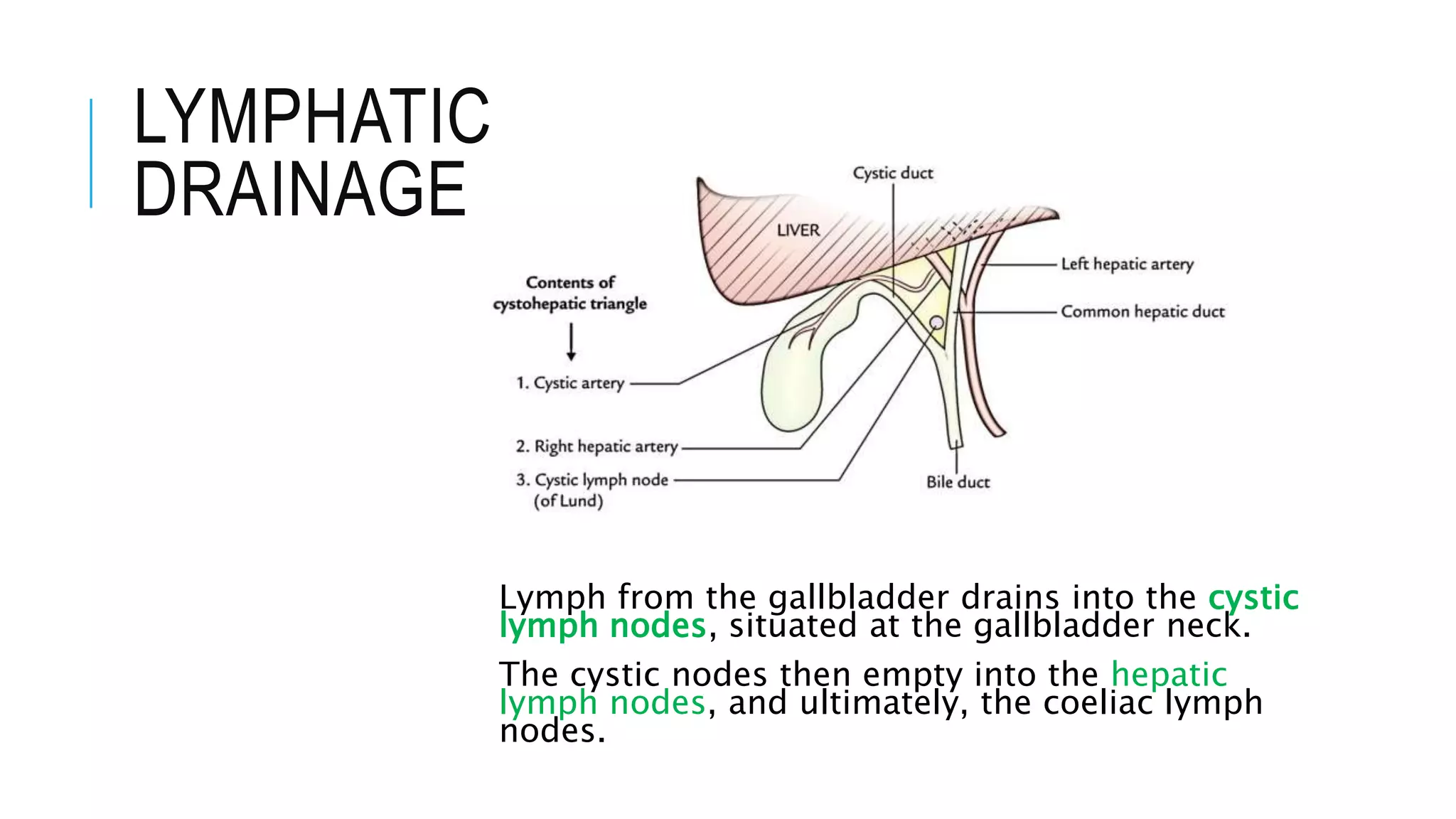 Gall bladder anatomy | PPTX