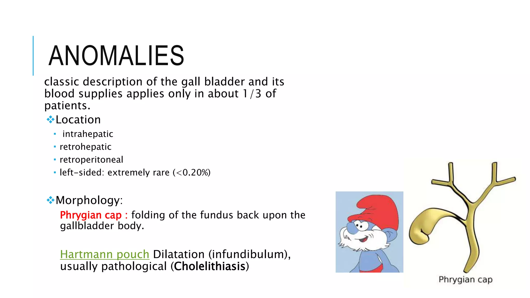 Gall bladder anatomy | PPTX