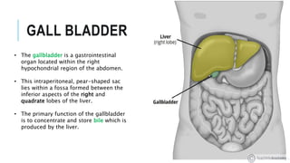 Gall bladder anatomy | PPTX