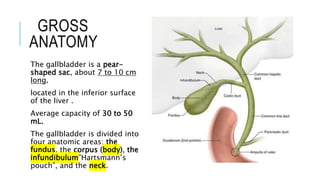 Gall bladder anatomy | PPTX