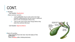 Gall bladder anatomy | PPTX