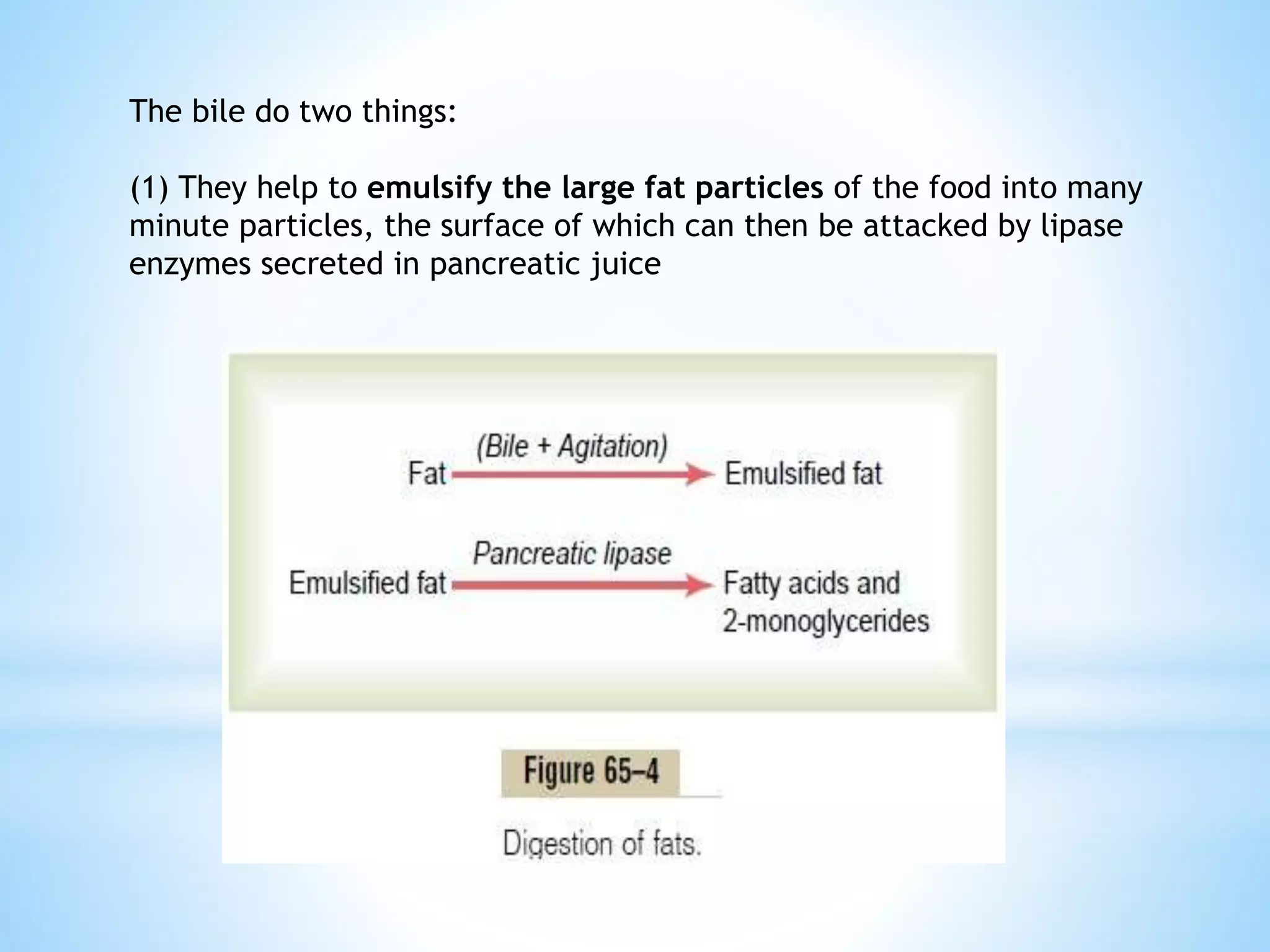 GALLBLADDER AND BILE (2).pptx