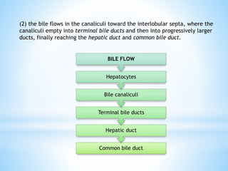 GALLBLADDER AND BILE (2).pptx